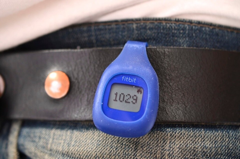 Fitbit Zip Wireless Activity Steps Calories Distance Fitness Tracker ...