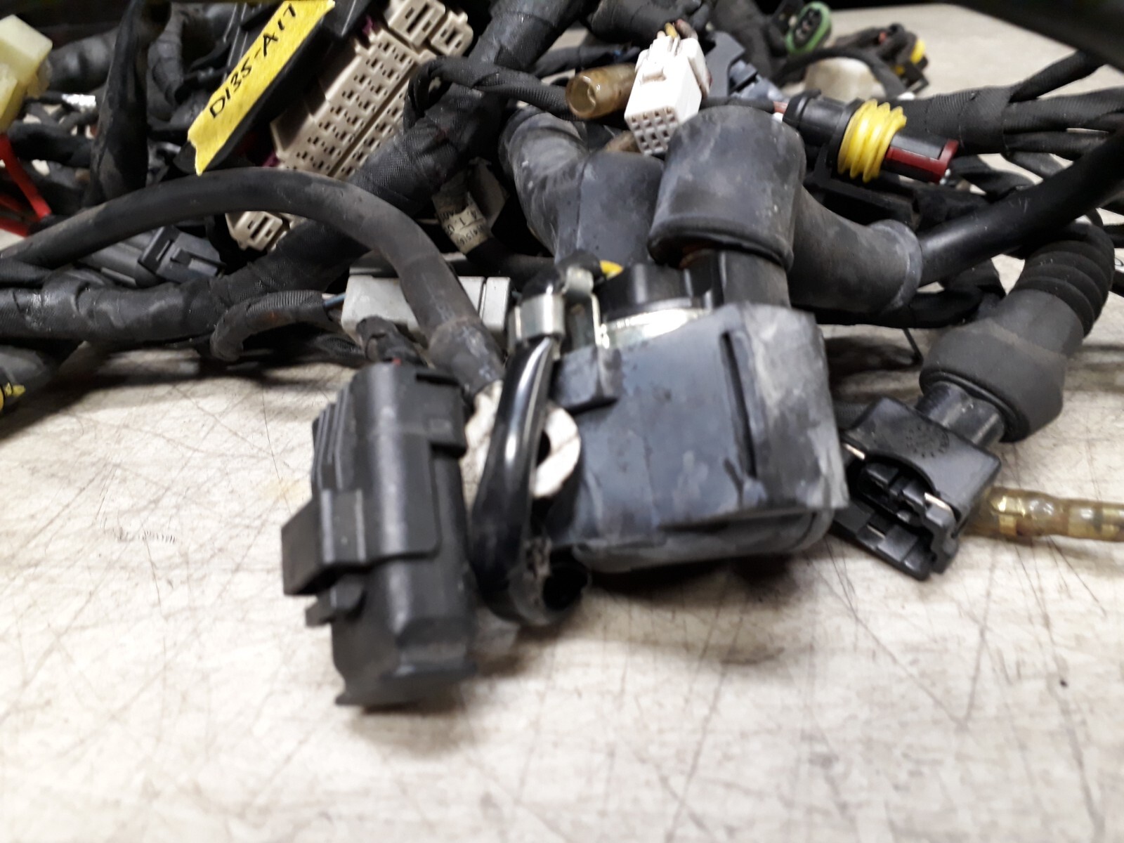DUCATI MONSTER 659, WIRING HARNESS / LUME, 'FREE POST ' # D135-A17 | eBay