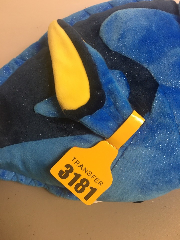 Disney Store Dory Plush - Finding Dory - Medium 17” - NEW with Original ...
