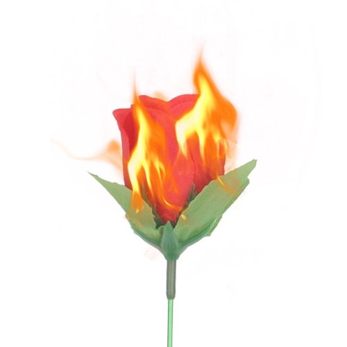 Change Into Rose Torch To Flower Fire Flame Appearing Flower Children ...