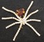 Vintage IVANA Brown Rhinestone SPIDER Brooch / Pendant 2" x 2 1/4" MINT ...