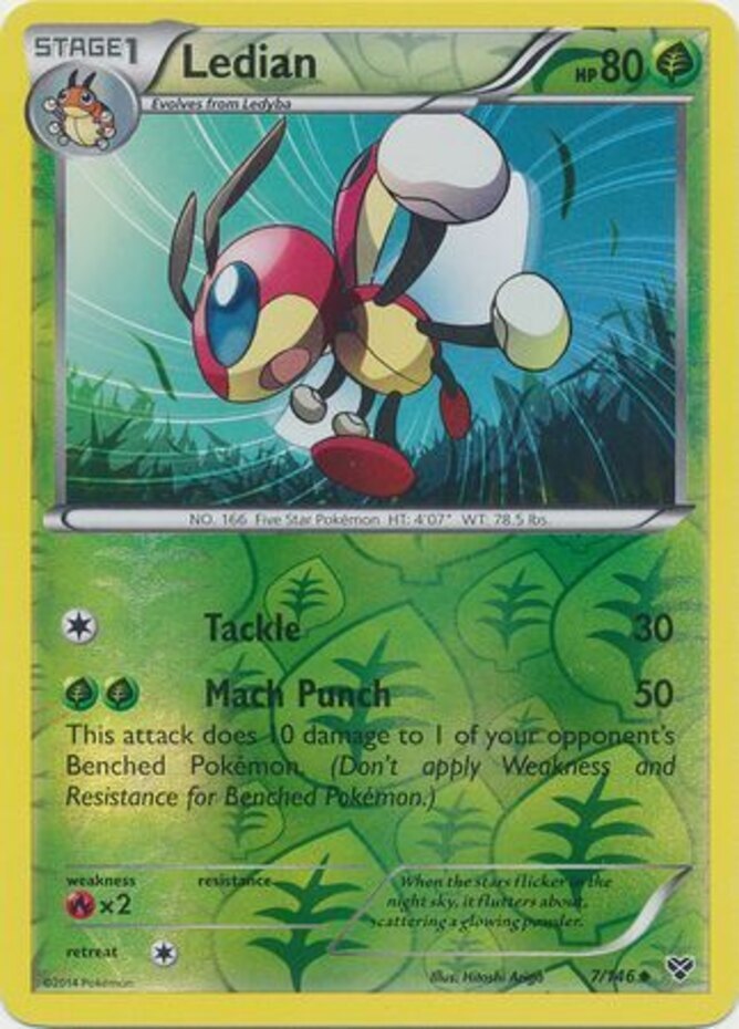 Pokemon - Ledian - 7/146 - Uncommon - Reverse Holo - XY - Base Set - NM ...