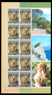 2004 St Michael's Cave/Höhle,Barbary macaque monkey,EUROPA,Rock of ...