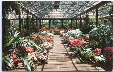 Postcard DE Longwood Gardens Azalea House Pierre DuPont Estate Delaware ...