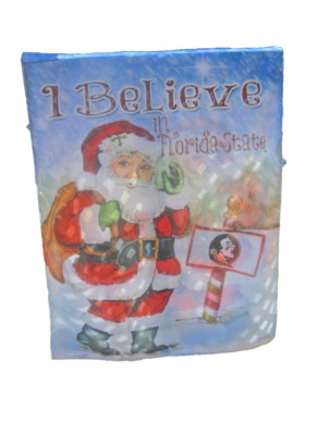 FLORIDA STATE UNIVERSITY SANTA CLAUS BANNER HOUSE FLAG 28" X 40" 2-SIDE ...