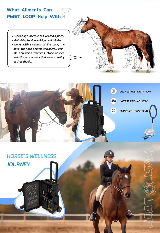 PMST Loop Equine PEMF Horse Sport Injury Recovery Body Massage For ...