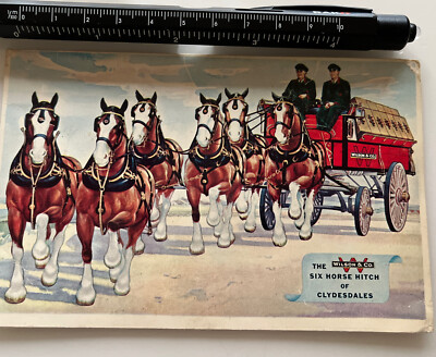 Postcard Chicago IL - Wilson & Company Meat Packers Six Clydesdale ...