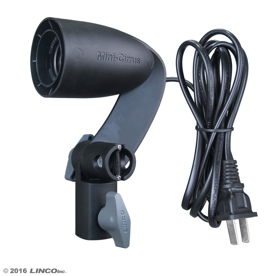 Photo Video Studio Lighting Photography 3 Backdrops Stand Muslin Photo ...