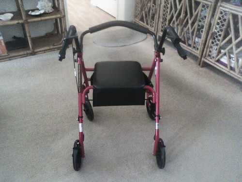 ROLLATOR MOBILITY WALKER RLEU10BK-2 Pro-Basics Aluminum Safe 6" Wheels ...