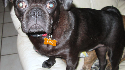 RARE ATI MACH 8 ULTRA ISA GRAPHICS CARD FCC ID: EXMCOMBOVM1 1021151341 ...