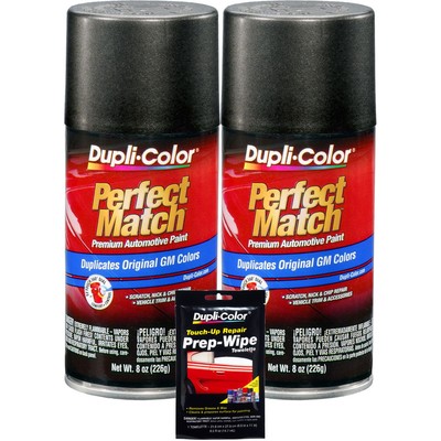 Duplicolor Kit BGM0595 + PW100, Aerosol Paint for GM WA121V, Metallic ...