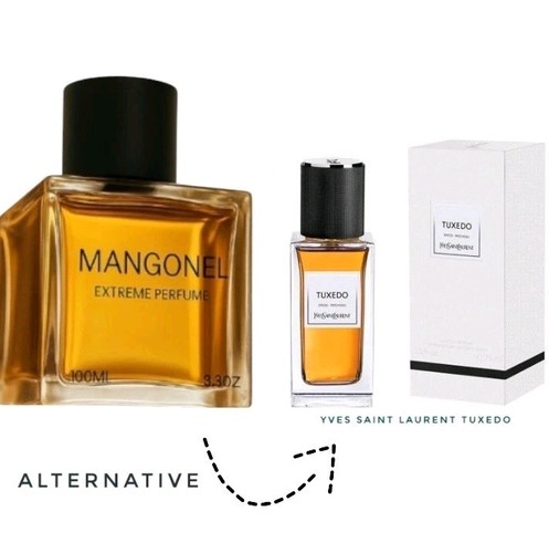 MANGONEL Perfume for Men 100ml | Long Lasting Bold Scen Lasting Luxury ...