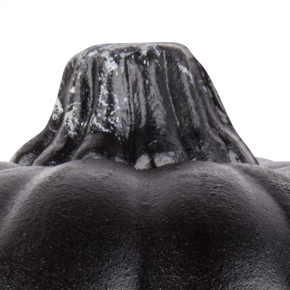 6" Black Craft Pumpkin by Ashland - Matte Black - Halloween or Fall ...