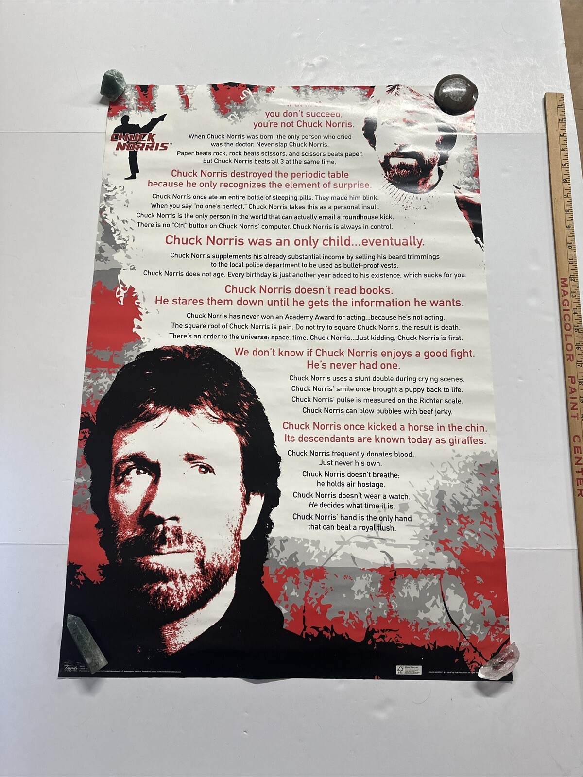 Chuck Norris Facts List #1 Poster Discontinued 34x22 Trends intl | eBay