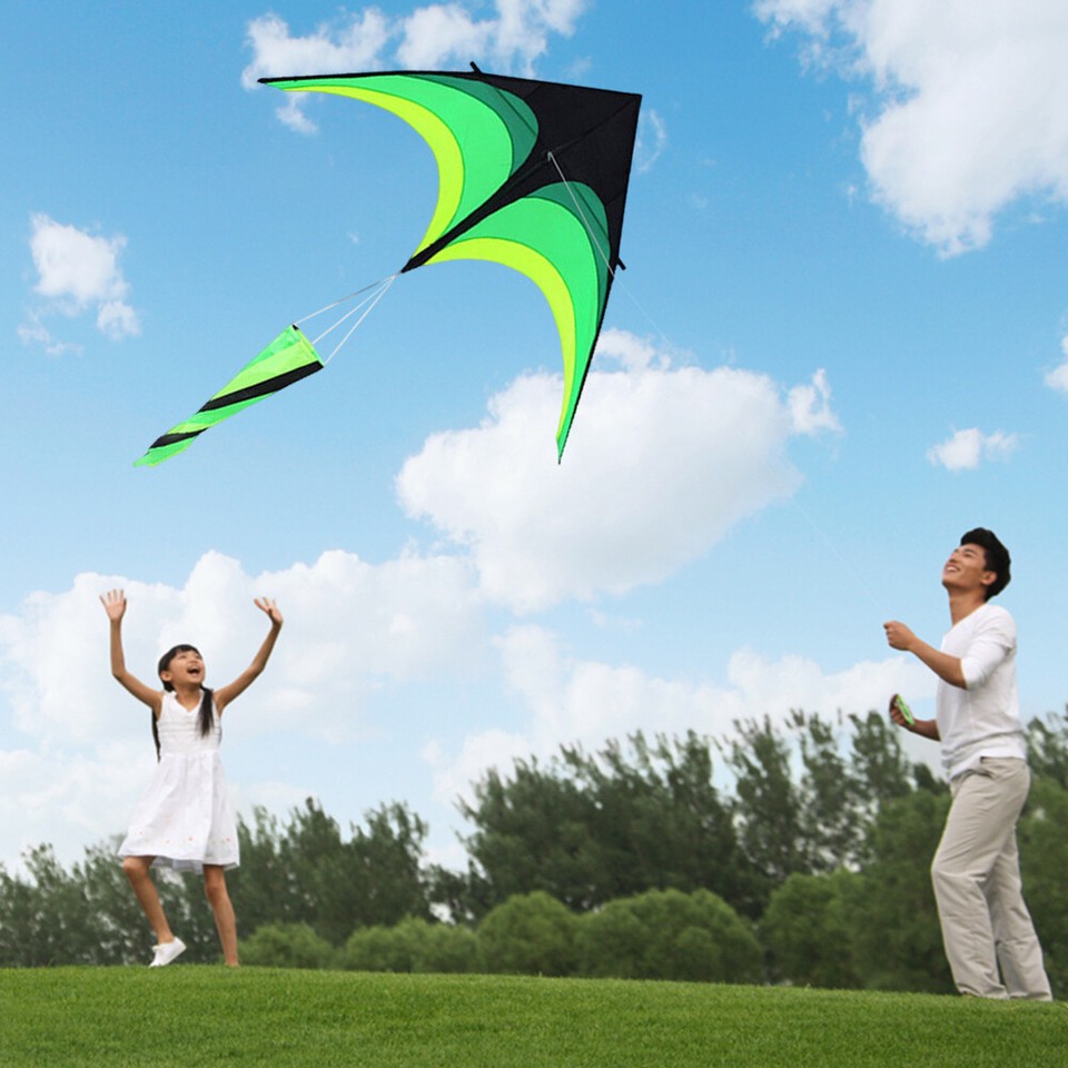 1.6m Triangle Kite 10 Tail Bird Shaped Kite for Outdoor (Spiral ...