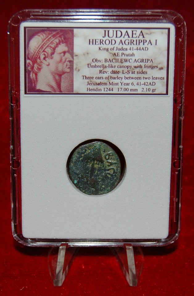 Ancient Coin JUDAEA Prutah HEROD AGRIPPA I Appointed By Caligula ...