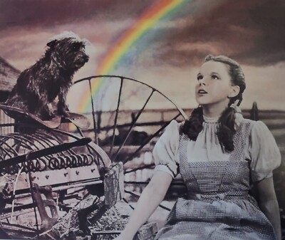 Wizard Of Oz Print Over The Rainbow Dorothy And Toto | eBay Australia
