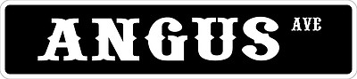 *Aluminum* Angus 4" x 18" Metal Novelty Street Sign SS 314 | eBay