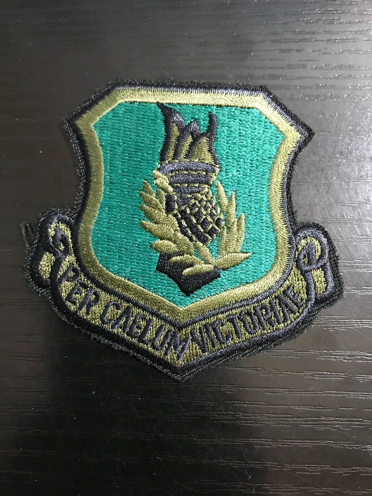 108th Operations Group Per Caelum Victoriae Subdued US Air Force ...