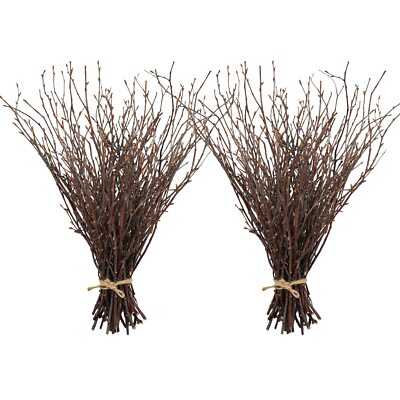 100PCS Natural Dried Birch Twigs – 17 Inch Dried Plants Decorative ...