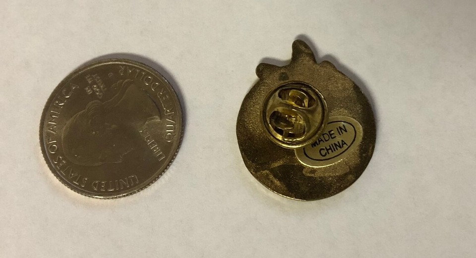 Catechist Pin | eBay