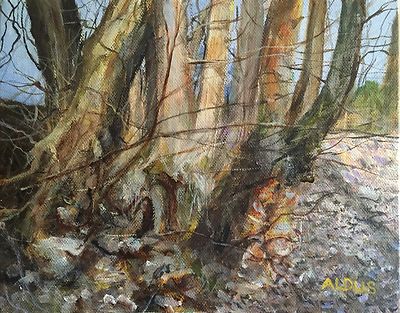 ORIGINAL DAVID ALDUS Oil on Canvas "The Old Sweet Chestnut" Forest Tree ...