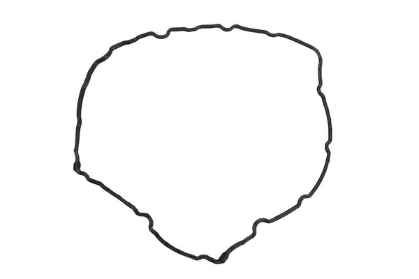 Engine Camshaft Housing Seal-Valve Cover Gasket Left 12595106 for sale ...