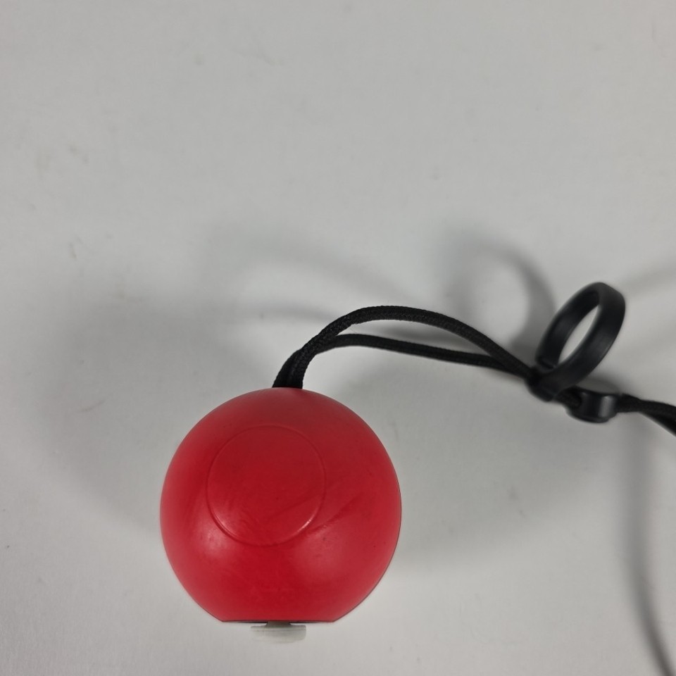 Pokemon Pokeball Poke Ball Plus Nintendo Switch Controller HAC-024 | eBay