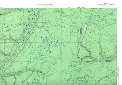 Hosford Quadrangle Florida 1945 USGS Topo Map 7.5 Minute Topographic | eBay