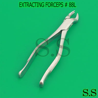 Dental Extracting Forcep 88L Molar Tooth Extraction Surgical Tools | eBay