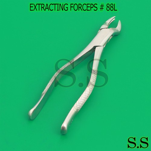 Dental Extracting Forcep 88L Molar Tooth Extraction Surgical Tools | eBay