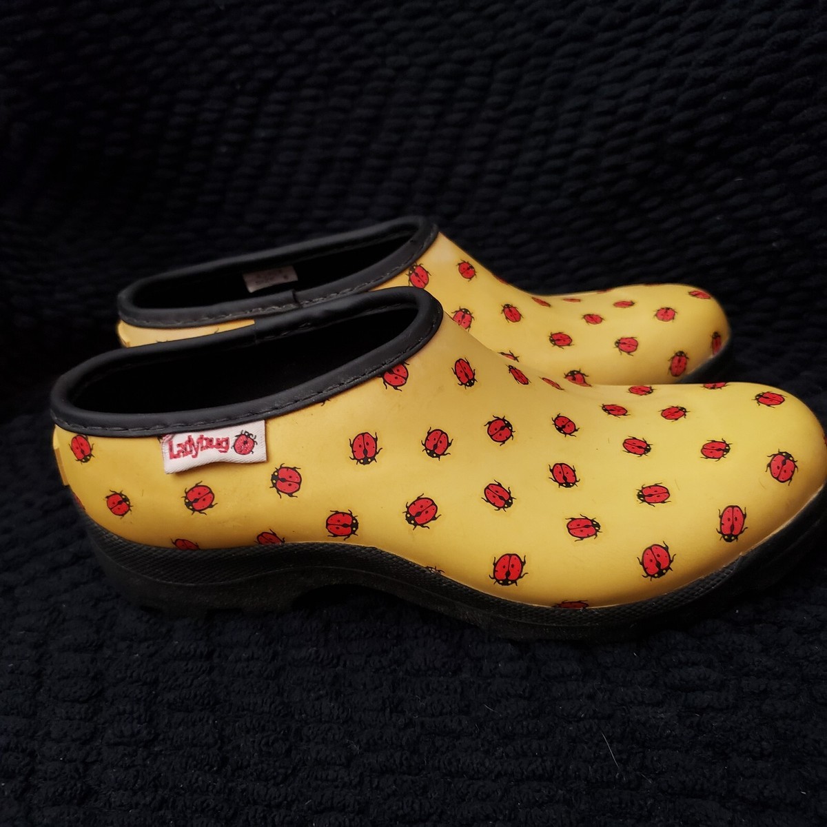 Ladybug Garden Shoes
