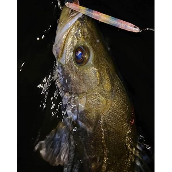 Pazdesign reed feel 120FG 009 Lime Chart Bachi sea bass lure Stylish ...