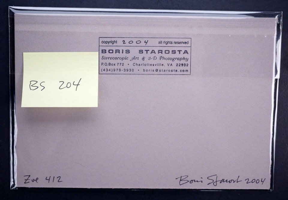 Boris Starosta 3D Stereoview - Zoe 412 - nude model signed 2004 #204 | eBay