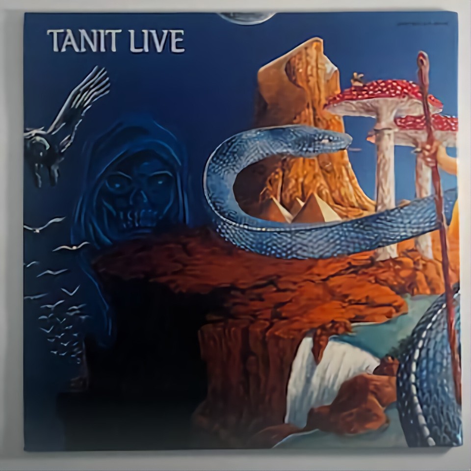 Lagger Blues Machine ‎– 'Tanit Live' LP 1988 Belgium Limited Blues Rock ...