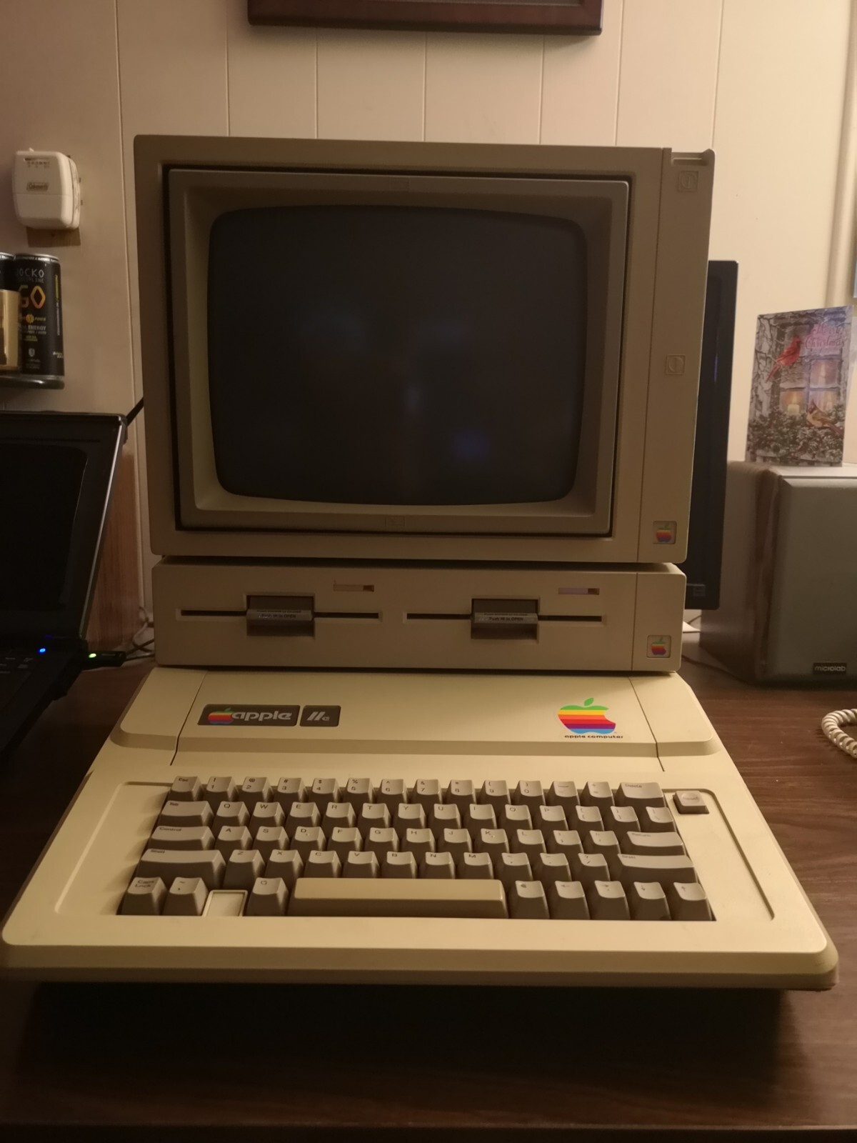 Vintage Apple lle (2e) Computer, Duo-Disc Drive, Model A2M2010 Monitor ...