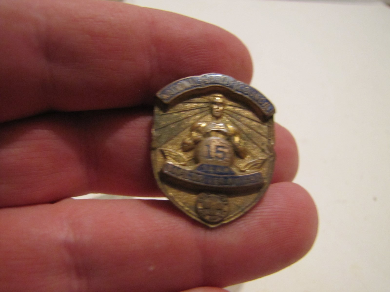 NATIONAL SAFETY COUNCIL 15 YEAR SAFE DRIVER PIN LARGE | eBay