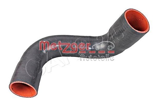METZGER Charger Intake Hose For RENAULT Grand Scenic II 03-10 ...