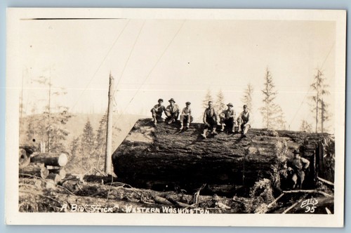 Western Washington WA Postcard RPPC Photo A Big Stick Log Workers Ellis ...