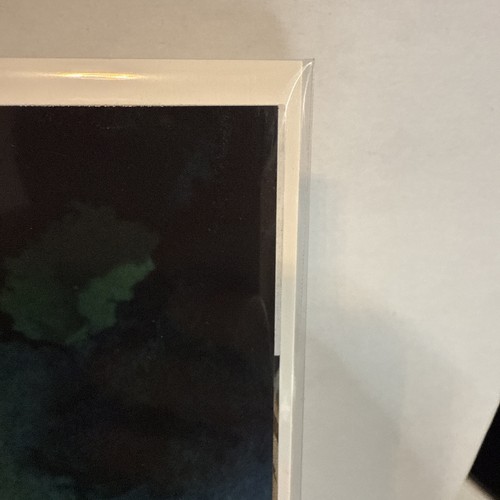 VAMPIRELLA DEAD FLOWERS #2 ERGUN GUNDUZ VIRGIN VARIANT VAMPIRELLA 1 | eBay