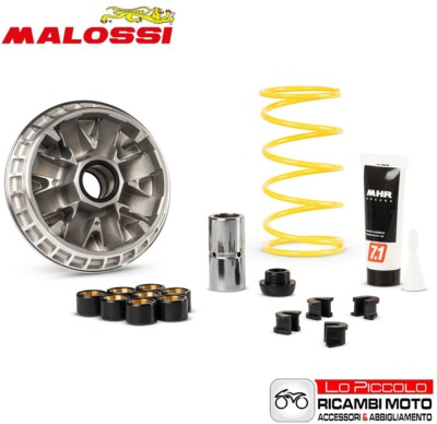 Variator Multivar 2000 MALOSSI Piaggio MP3 ABS HPE 530 Ie 4T LC 2024 | eBay