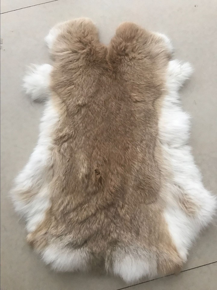 20 Pieces Natural Tanned Real Rabbit Pelts Fur Craft Leather DIY ...