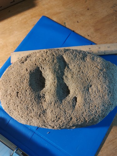 Native American nutting stone/fire starter southern Indiana authentic ...