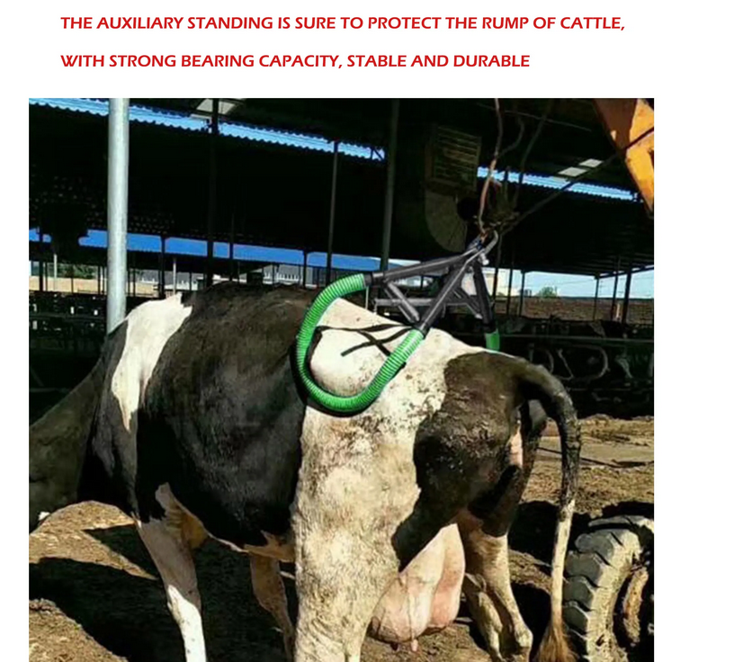 Cattle Lifting Hoist Frame Cow Lift Assist Aid Hip Cow Standing Holder ...