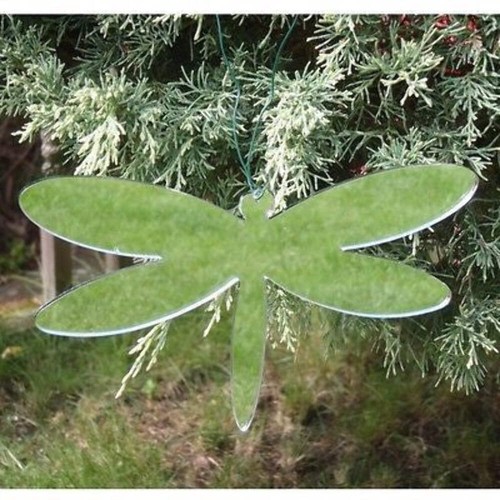 Mirrored Dragonfly Dreamcatcher | eBay