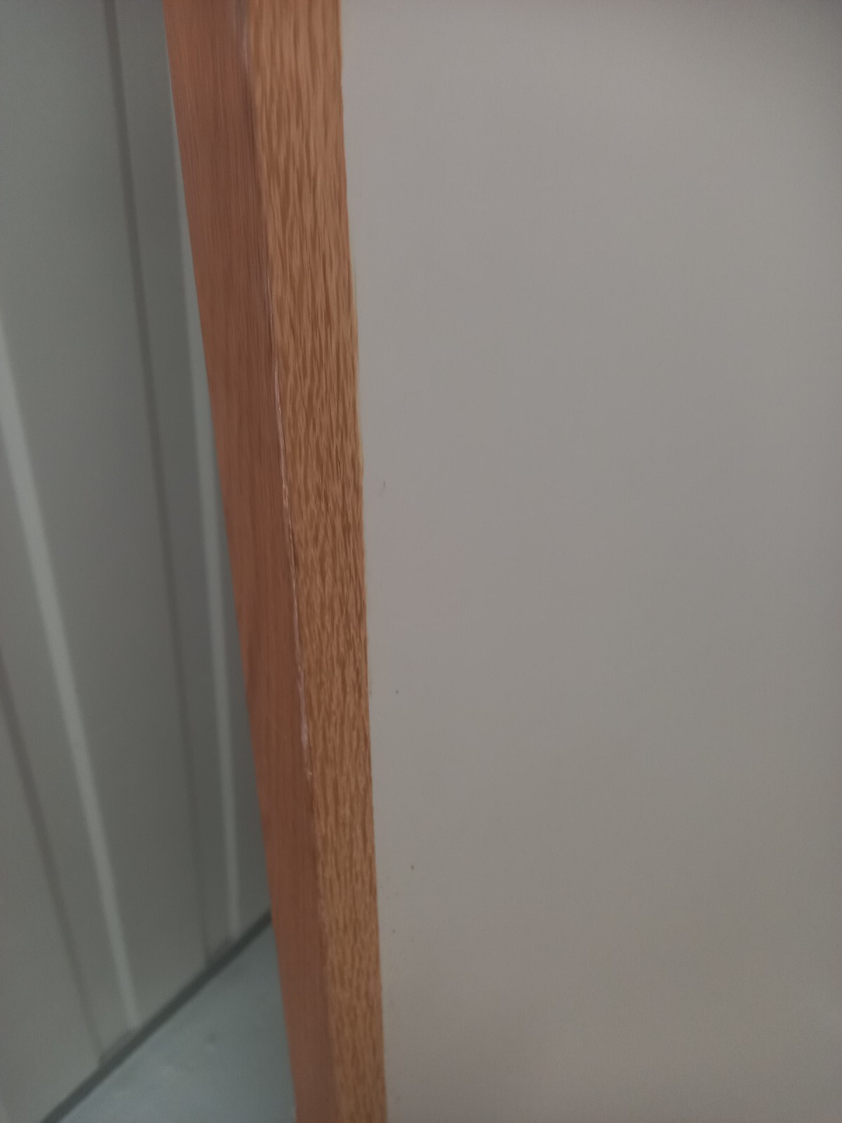 INTERNAL FIRE DOOR COMPLETE WITH PYROSTEM GLASS | eBay UK