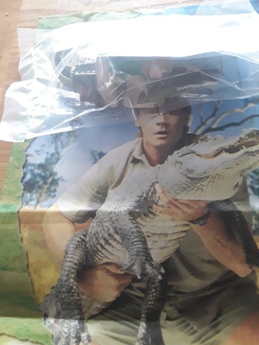 Burger King toy Steve Irwin Action Figures The Crocodile hunter Full ...