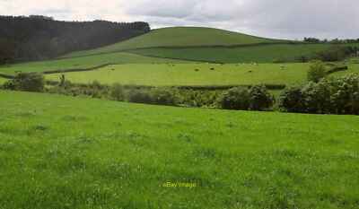 Photo 6x4 Cattle pasture, Well Farm Ashburton Looking left from where ...