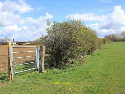 Photo 6x4 View from bridleway to Radbrook Manor Lower Quinton A ...