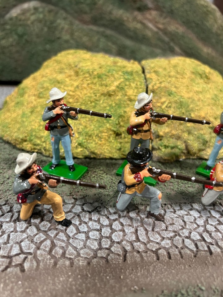 Trophy Miniatures Classic Collection 3rd Texas Infantry | eBay